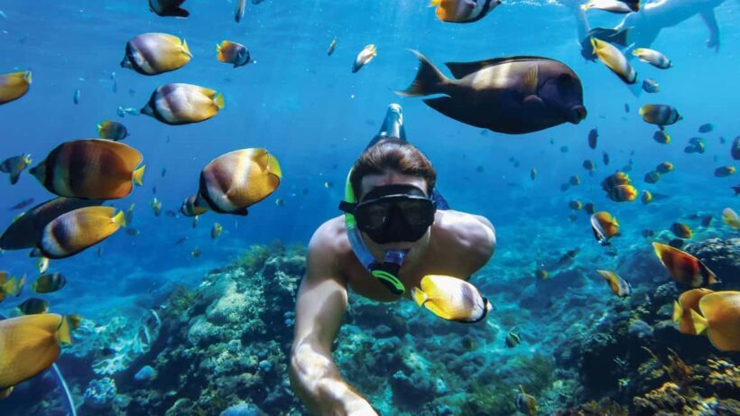 Sosúa: Catamaran Cruise with Snorkeling, Lunch, & Drinks - Final Thoughts