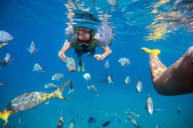 Sosua Party Boat -Snorkeling-Brunch-Drinks-Snacks-Transportation - Final Thoughts: Is This the Right Choice?