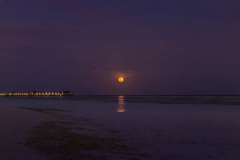 Sotogrande: Full Moon on the Sea 2 Hours - What Is the Experience Like?