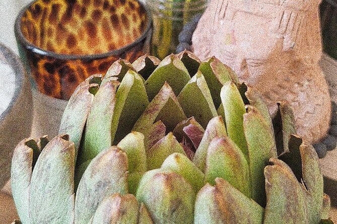 Soul Revitalization: Cacao Ceremony & Sound Healing in Mérida - Who Will Love This Experience