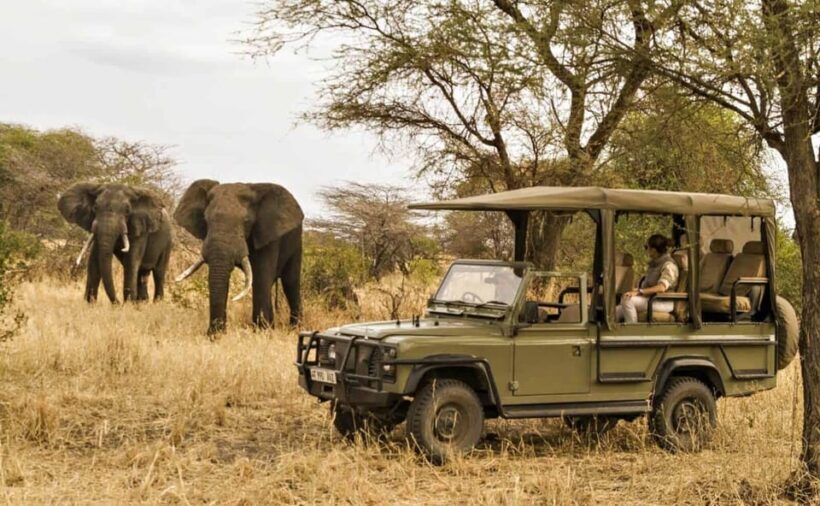 South Africa: 12-Day Cape Town to Johannesburg Tour - Practical Considerations and Value