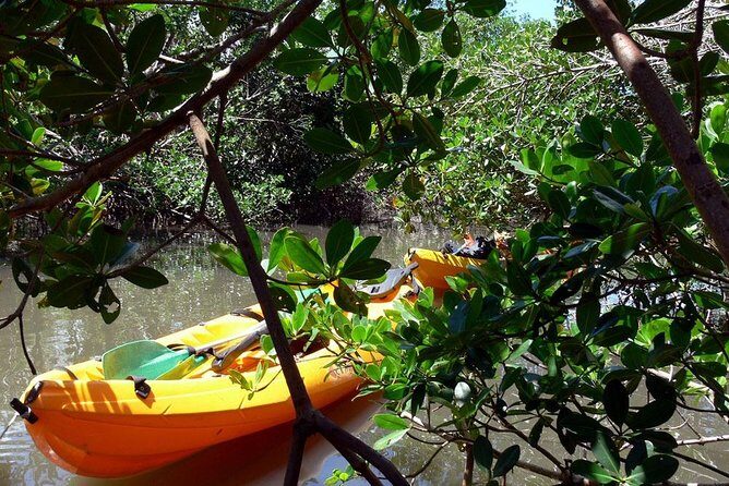 South Caribbean Tour in Martinique - A Detailed Look at the Tour Itinerary