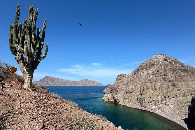South Carmen and Danzante Island Adventure - An In-Depth Look at the Tour