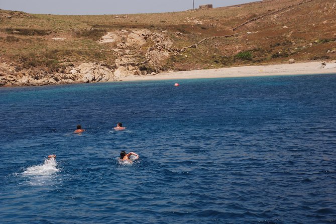 South Coast Cruise - Practical Tips