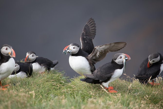 South Coast / guided private tour - The Sum Up