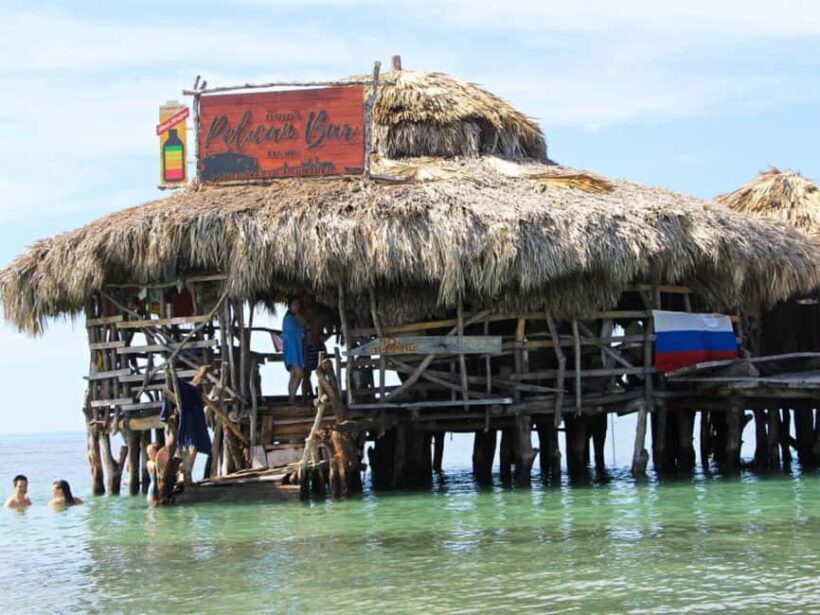 South Coast: Pelican Bar & Black River Safari Experience - The Black River Safari