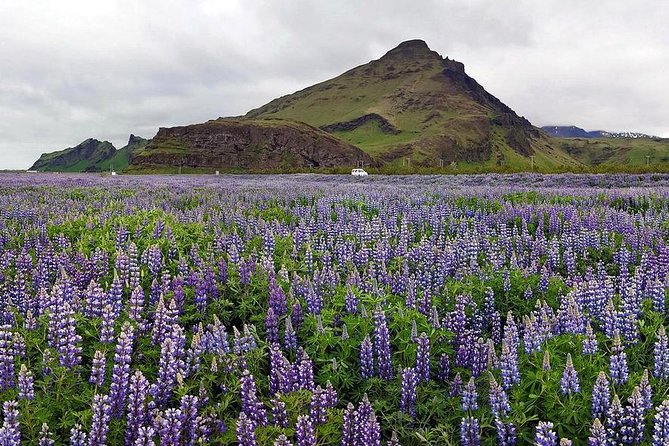 South Coast. Private Day Tour From Reykjavik - Personalized Experience