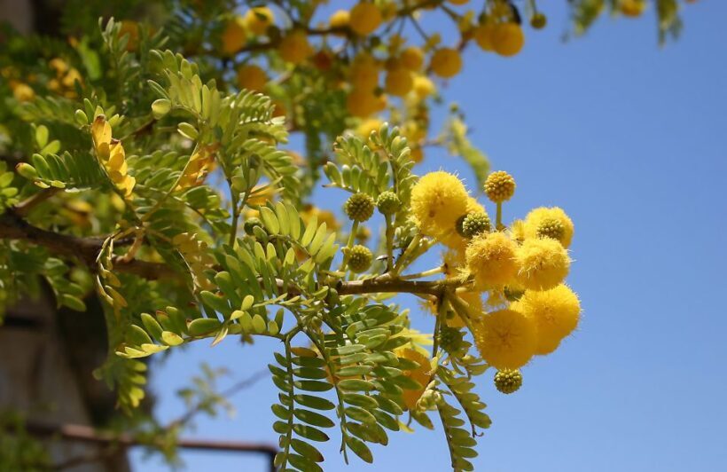South Coast Private Nature Walking Tour with Transport - A Few Considerations