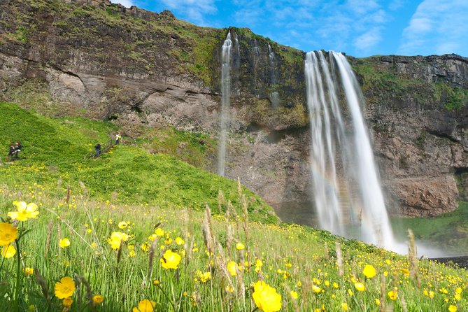 South Coast Sagas: Small Group Tour from Reykjavik - FAQs
