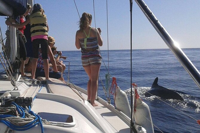 South Coast Tenerife Cruise - Accessibility and Special Considerations