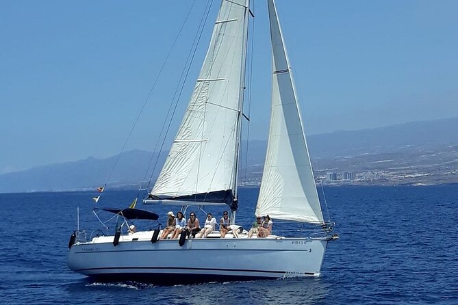 South Coast Tenerife Cruise - Wildlife Spotting Opportunities