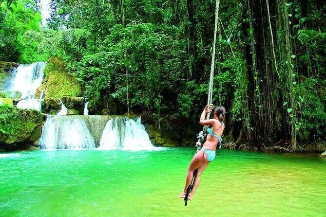 South Coast Tour to YS Falls, Black River Safari and Appleton Rum - Exploring the South Coast of Jamaica: What to Expect
