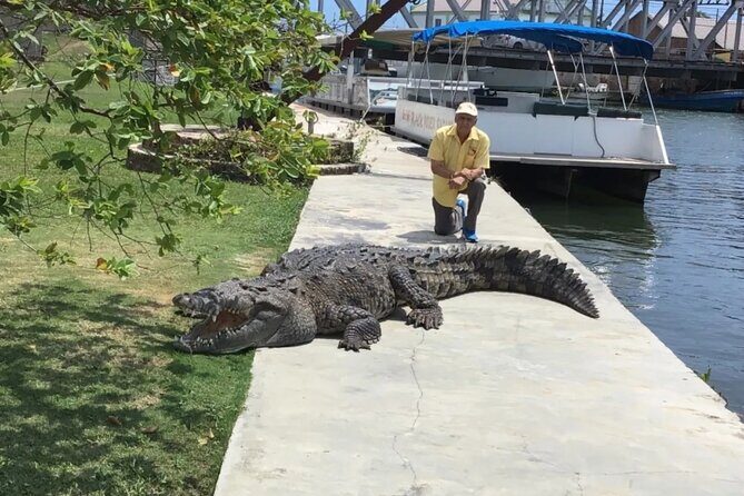 South Coast Tour to YS Falls, Black River Safari and Appleton Rum - Transportation and Logistics