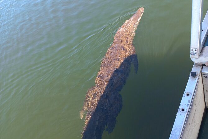 South Coast Tour to YS Falls, Black River Safari and Appleton Rum - FAQ