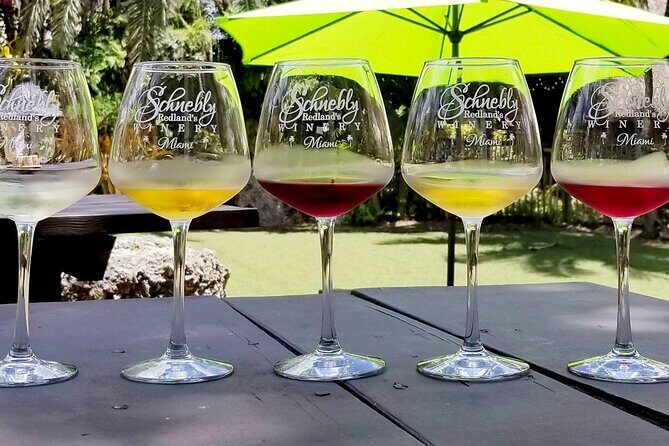 South Florida's Hidden Gems: Wine, Castle, & Tropical Fruits - An In-Depth Look at the Tour
