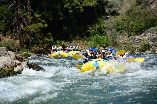 South Fork, American River: Chili Bar (Class III+ Whitewater) - Key Points