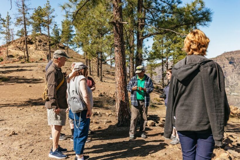 South Gran Canaria: Off-Road Valleys & Villages Jeep Tour - An In-Depth Look at the Itinerary