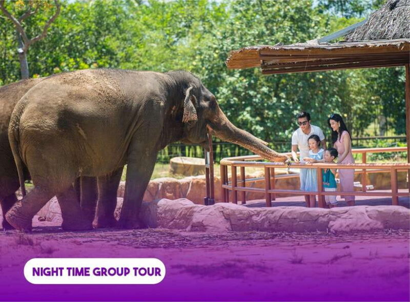 South Hoi An River Safari With Candle-lit Beach Dinner - What to Expect: A Step-by-Step Breakdown