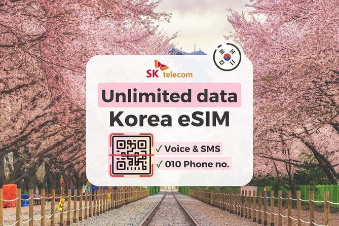 South Korea eSIM Roaming 4G and 5G Data Plan - Who Should Consider This eSIM?