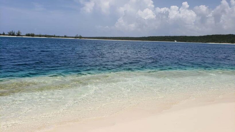 South Long Island 3 Hour Guided Land Tour - FAQ