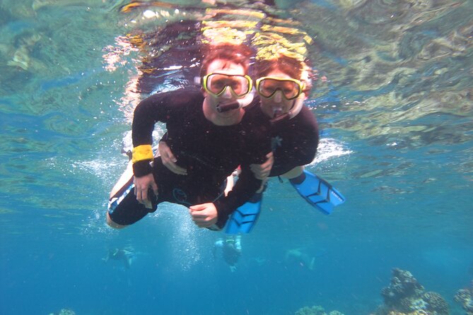 South Maui Kayak and Snorkel Tour With Turtles - Guide Expertise and Group Dynamics