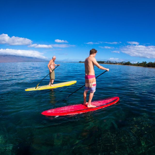 South Maui: Makena Bay Stand-Up Paddle Tour - Exploring the South Maui: Makena Bay Stand-Up Paddle Tour