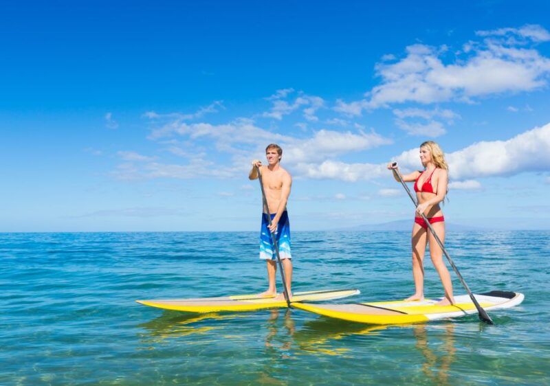 South Maui: Makena Bay Stand-Up Paddle Tour - The Equipment and Comfort Level