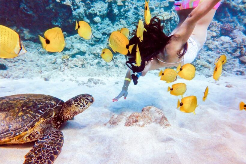 South Maui: Molokini Snorkeling Adventure - FAQs