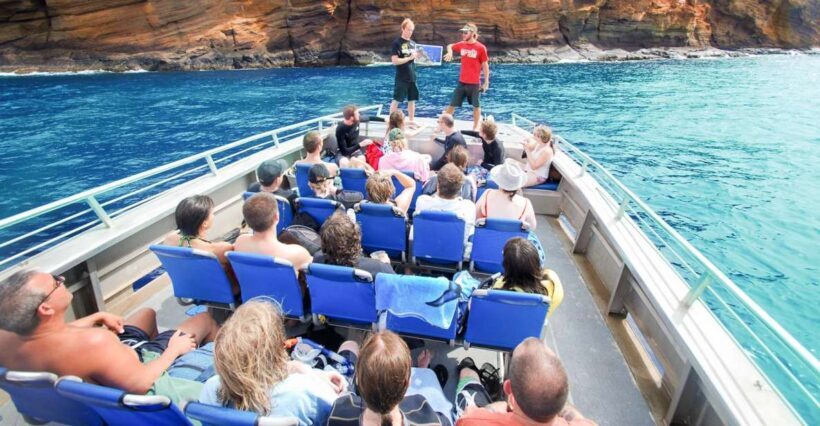 South Maui: Molokini & Turtle Adventure from Maalaea Harbor - A Closer Look at the Experience