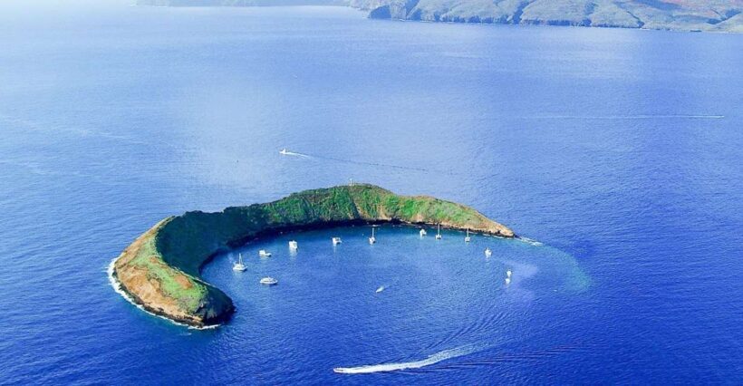 South Maui: Molokini & Turtle Town Snorkeling Tour with Meal - Introduction