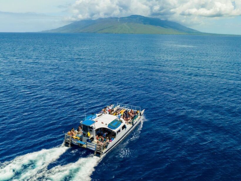 South Maui: Molokini & Turtle Town Snorkeling Tour with Meal - Analyzing the Value: Price vs. Experience