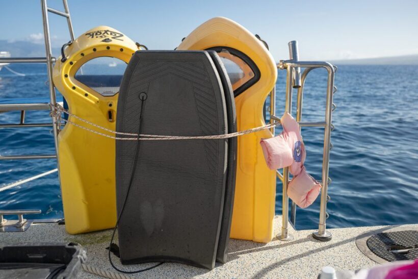 South Maui: Molokini & Turtle Town Snorkeling Tour with Meal - Who Will Love This Tour?