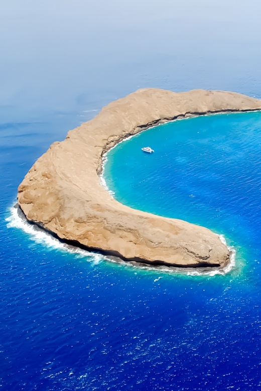 South Maui: Molokini Wild Eco Adventure from Maalaea Harbor - Key Points