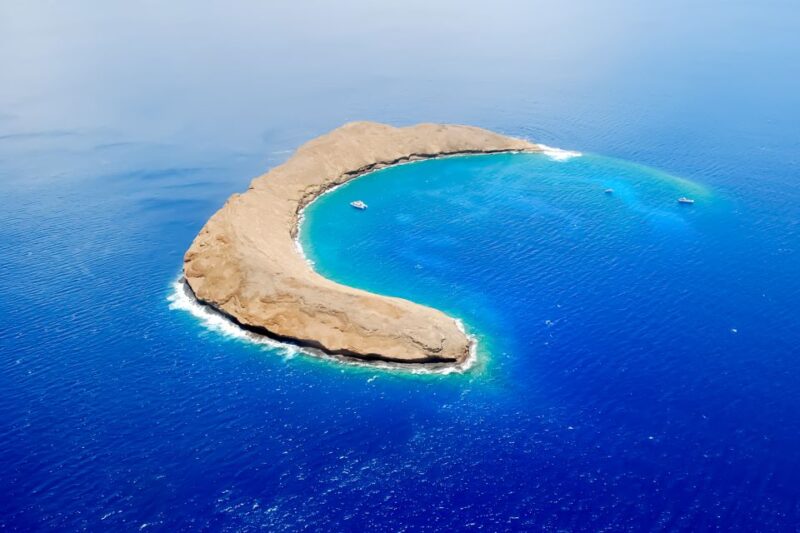 South Maui: Molokini Wild Eco Adventure from Maalaea Harbor - Authentic Feedback from Travelers