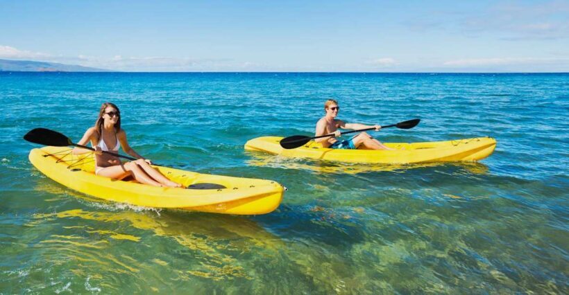 South Maui: Premium Turtle Town Kayak and Snorkel Tour - Authenticity and Real-World Insights from Reviews
