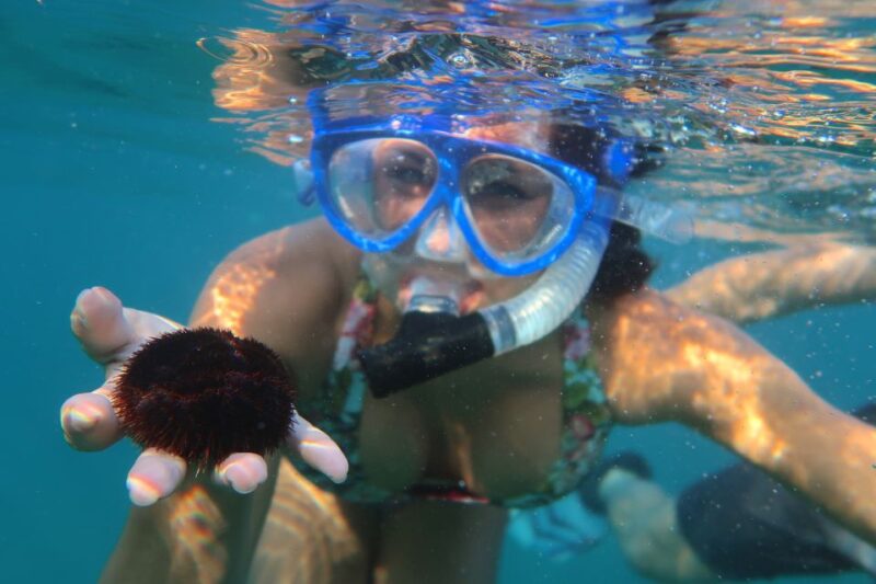 South Maui: Premium Turtle Town Kayak and Snorkel Tour - Who Will Love This Experience?