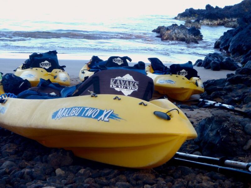South Maui: Premium Turtle Town Kayak and Snorkel Tour - The Sum Up