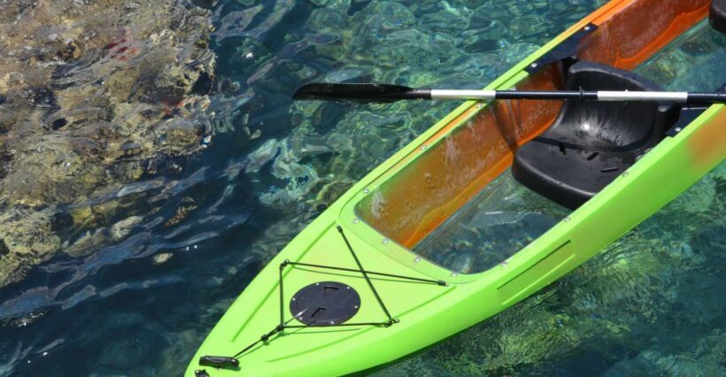 South Maui: Self Guided Clear Bottom Kayak Tour - The Marine Life and Underwater Highlights