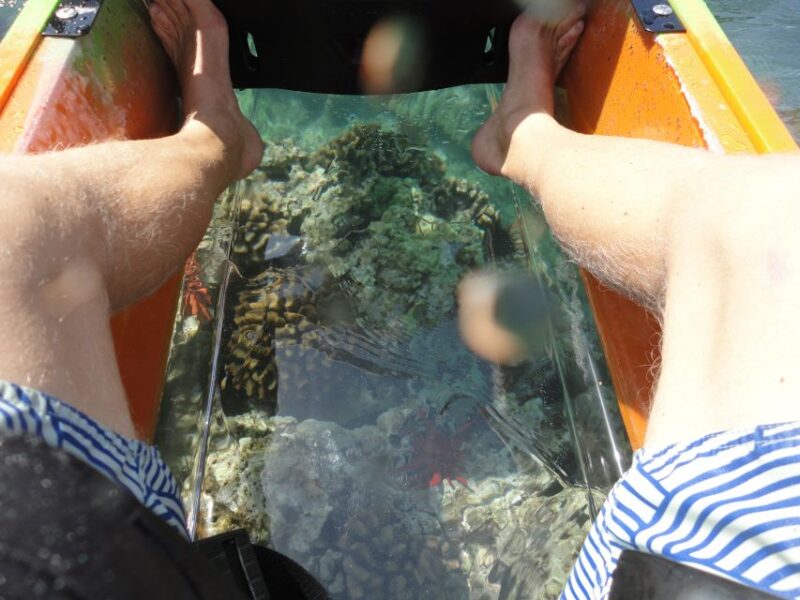 South Maui: Self Guided Clear Bottom Kayak Tour - Value for Money and Overall Experience