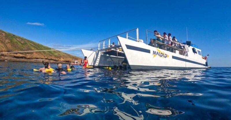 South Maui: Snorkel to Coral Gardens or Molokini Crater - Exploring South Maui: Snorkel to Coral Gardens or Molokini Crater