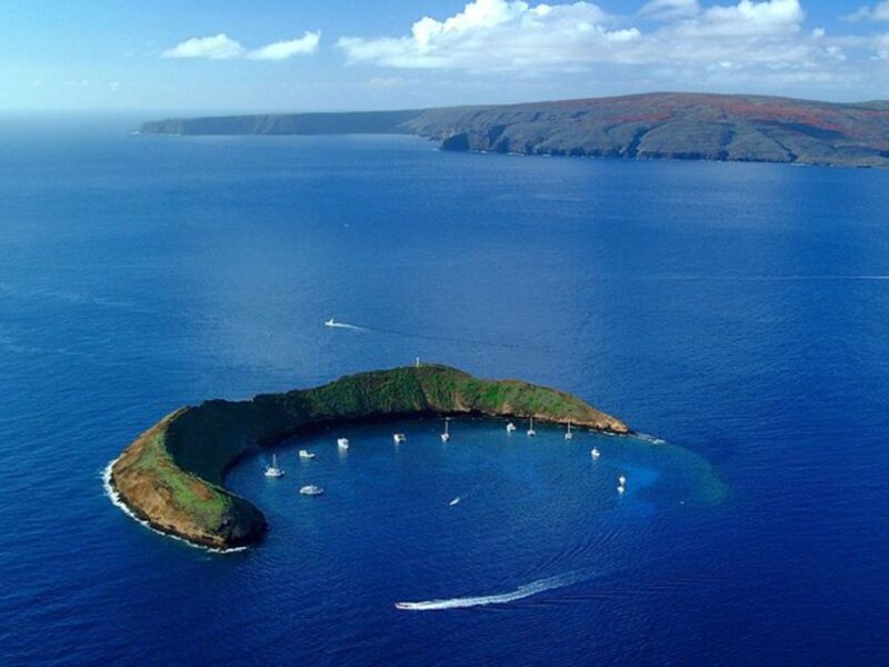 South Maui: Snorkel to Coral Gardens or Molokini Crater - The Value for Money