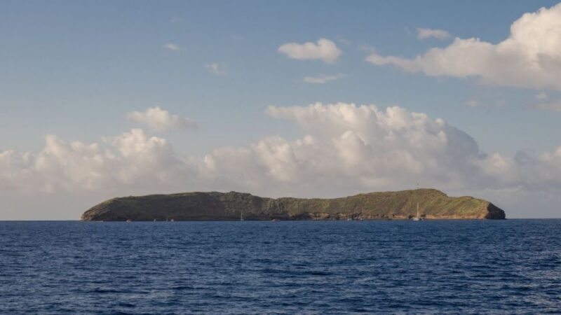 South Maui: Snorkel to Coral Gardens or Molokini Crater - Who Will Love This Tour?