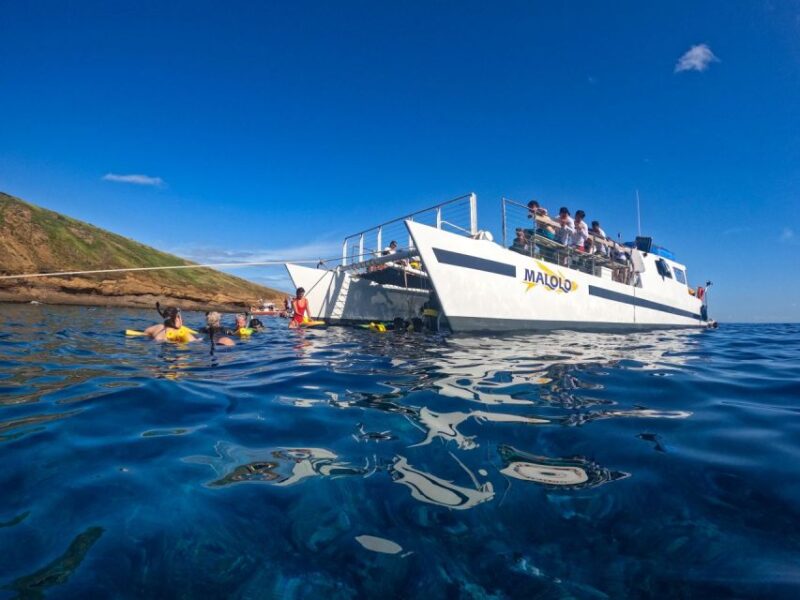 South Maui: Snorkel to Coral Gardens or Molokini Crater - Final Thoughts