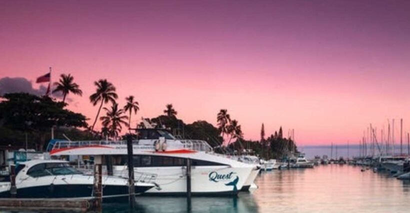 South Maui: Sunset Cruise with 4-Course Dinner and Drinks - Who Is This Experience Best For?