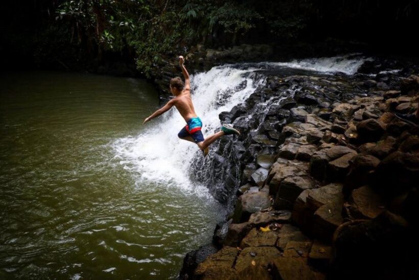 South Maui: Waterfall Tour w/ Kayak, Snorkel, and Hike - Diving Into the Experience