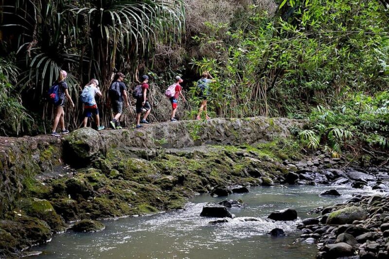 South Maui: Waterfall Tour w/ Kayak, Snorkel, and Hike - What’s Included and What to Consider