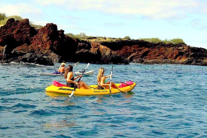 South Maui: Waterfall Tour w/ Kayak, Snorkel, and Hike - The Sum Up