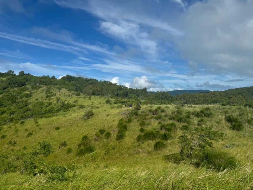 South Molle Island Self Guided Walking Tour - FAQ
