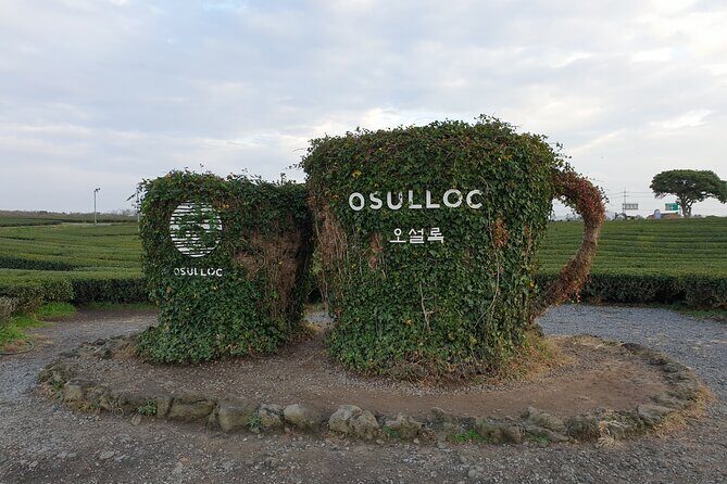 South of Jeju Island Package Tour in Alpaca Land - Overall Value and Who It’s Best For