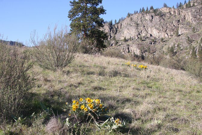 South Okanagan Desert Tour - Exploring Canadas Only Desert: An Unexpected Gem